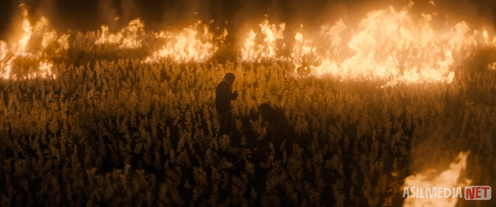 Go'zallik dunyosi Premyera 2024 Hunuklar Xunuk Uzbek tilida O'zbekcha ...